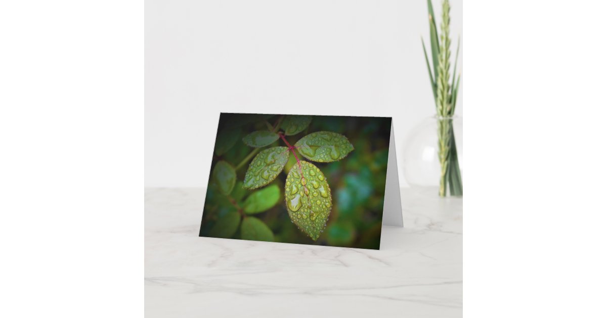Green Earth, card | Zazzle