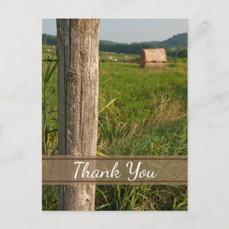 Green Farm Pastures Thank You Postcard | Zazzle