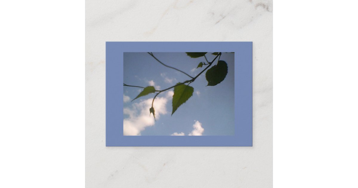 Green Foliage in Blue Sky Business Card | Zazzle