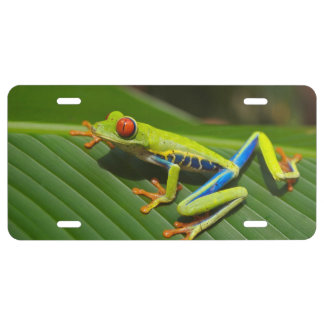Frog License Plates | Zazzle