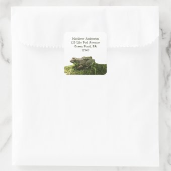 Green Frog on a Mossy Rock Return Address Labels | Zazzle
