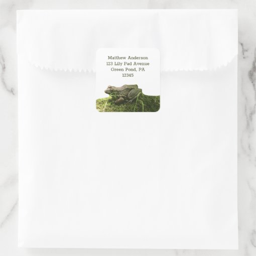 Green Frog on a Mossy Rock Return Address Labels | Zazzle