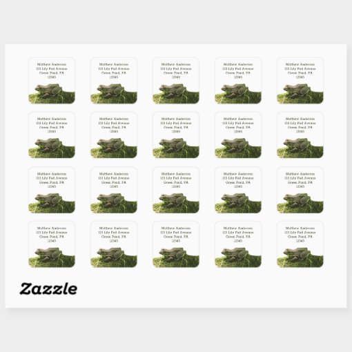 Green Frog on a Mossy Rock Return Address Labels | Zazzle