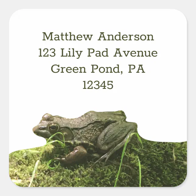 Green Frog on a Mossy Rock Return Address Labels | Zazzle