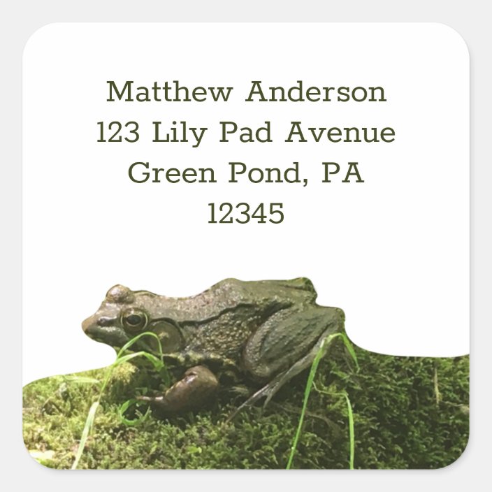 Green Frog on a Mossy Rock Return Address Labels | Zazzle.com