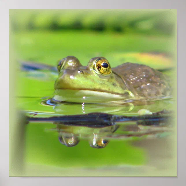Green Frog Print | Zazzle