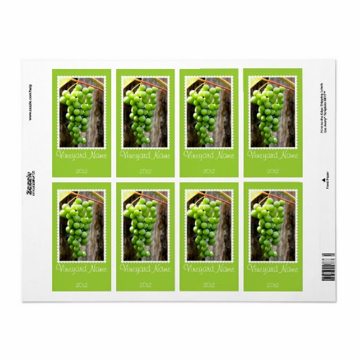 Green Grape Personalized Wine Label | Zazzle