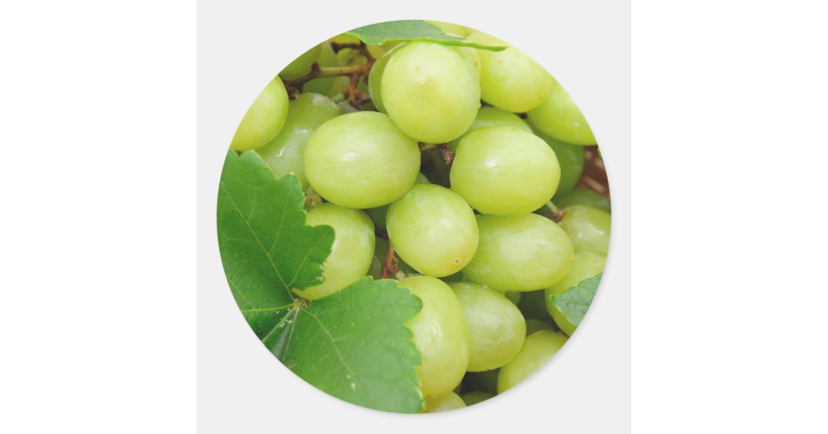 Green Grapes Classic Round Sticker | Zazzle