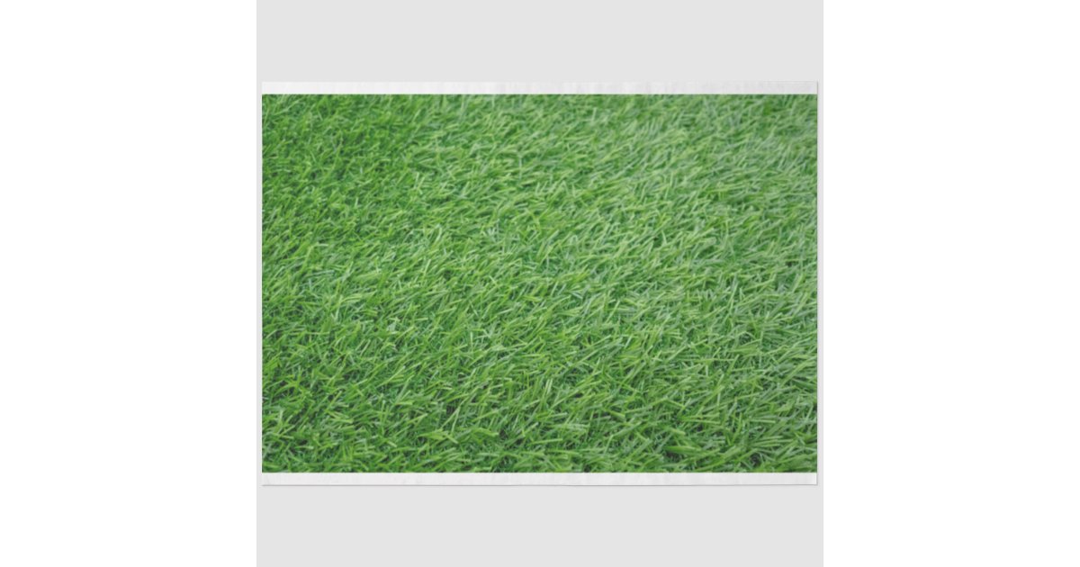 Green grass background tissue paper | Zazzle