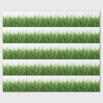 Green Grass background Wrapping Paper | Zazzle