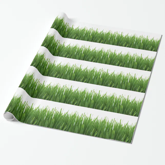 Green Grass background Wrapping Paper | Zazzle
