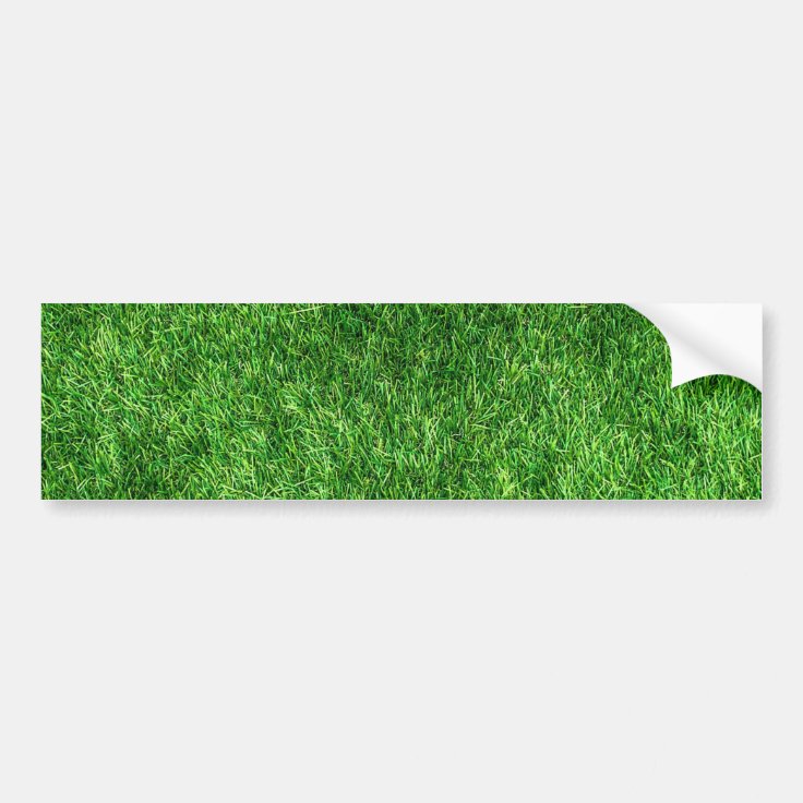 Green Grass Bumper Sticker | Zazzle