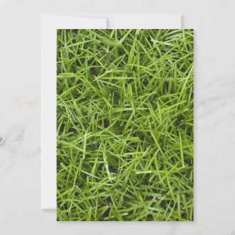 Green Grass Graduation Party Invitation | Zazzle