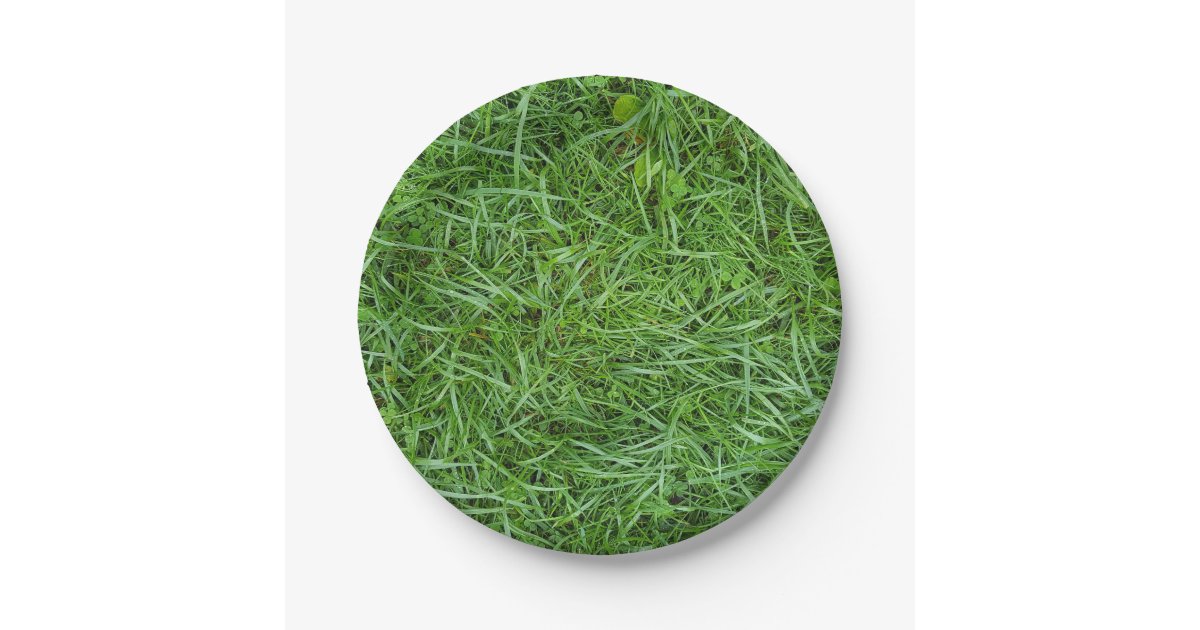 green grass paper plates | Zazzle