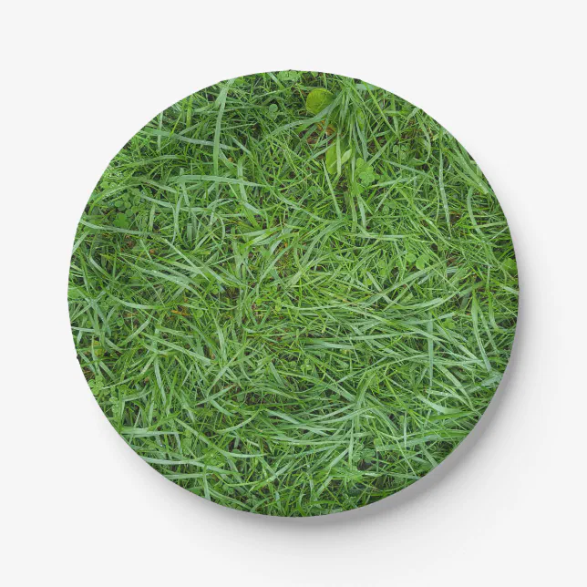 green grass paper plates | Zazzle