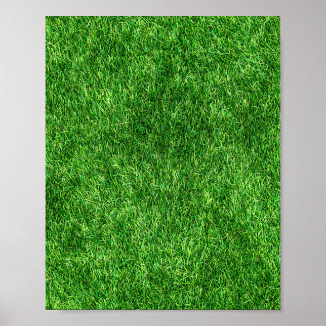 Green Grass Poster | Zazzle