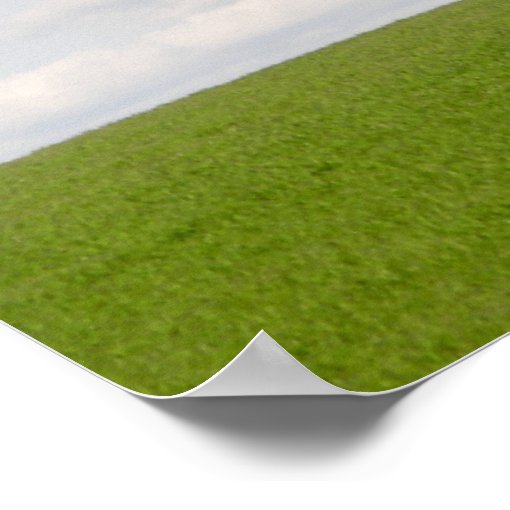 Green Grass Poster | Zazzle