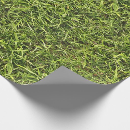 Green Grass Wrapping Paper | Zazzle