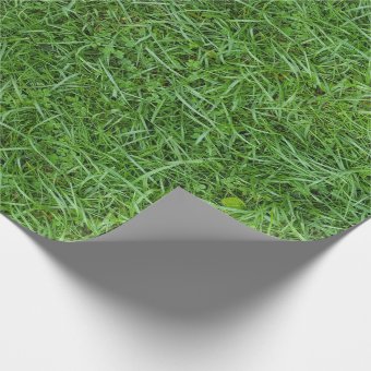 Green Grass Wrapping Paper | Zazzle