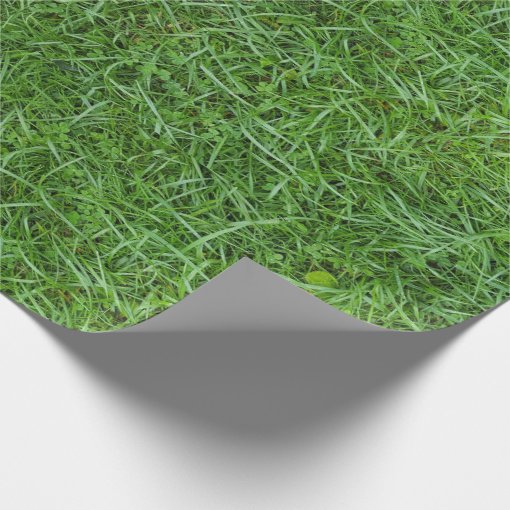 Green Grass Wrapping Paper | Zazzle