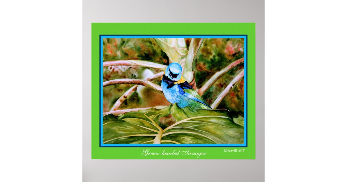 Green-headed Tanager Fine Art Poster | Zazzle