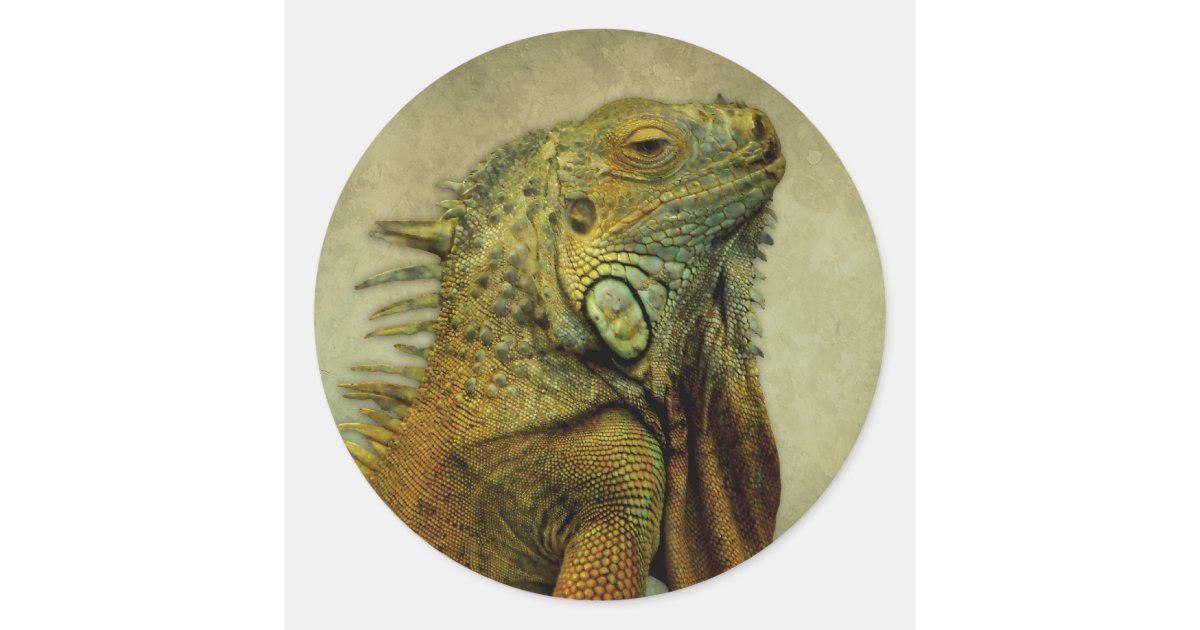 Green Iguana Classic Round Sticker | Zazzle