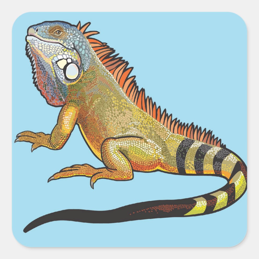 green iguana square sticker | Zazzle