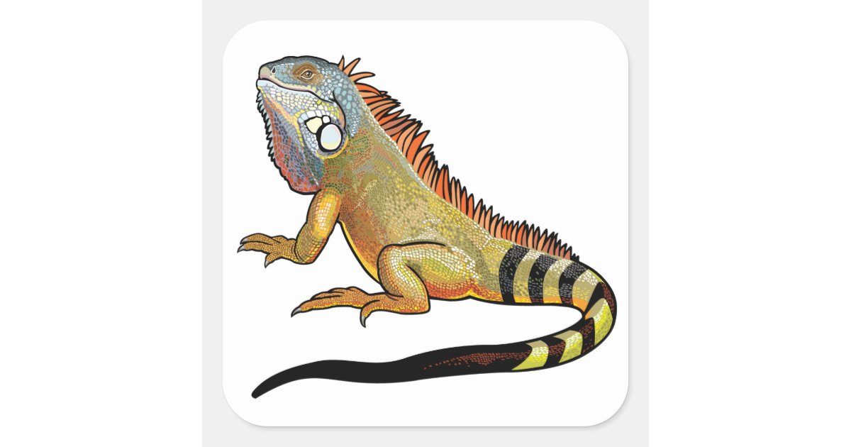 green iguana square sticker | Zazzle