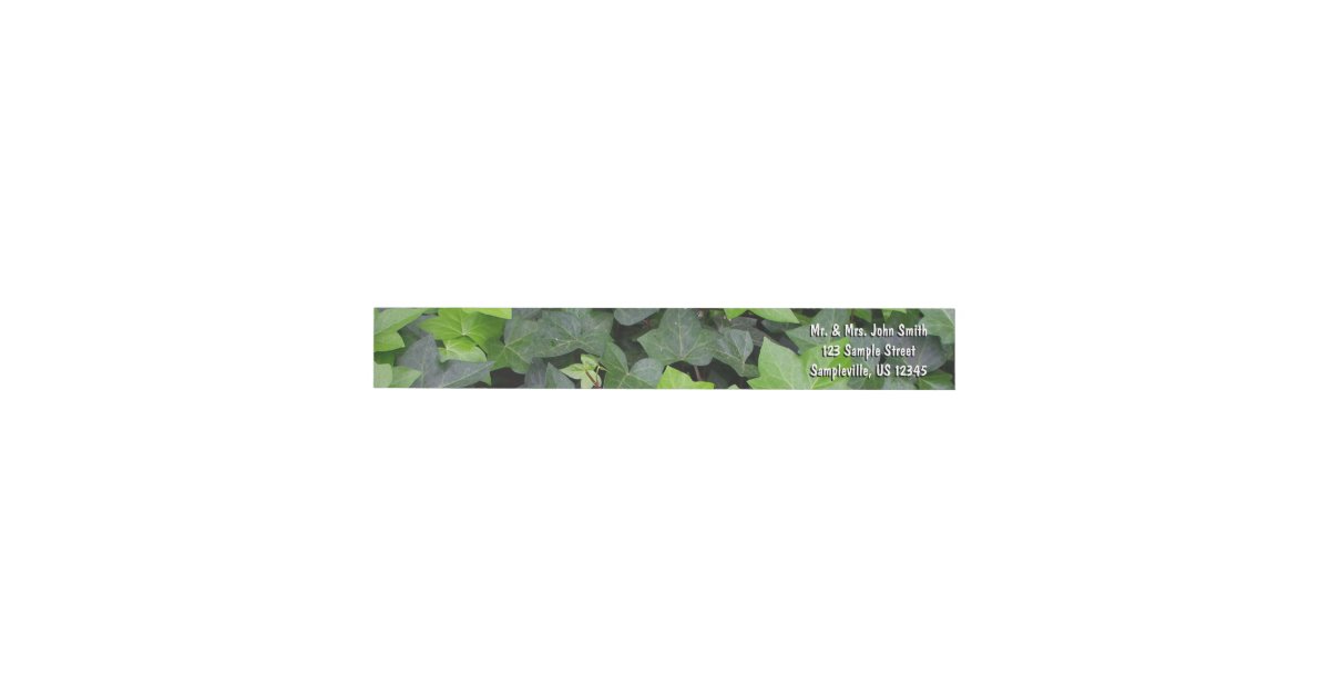 Green Ivy Botanical Print Wrap Around Label | Zazzle