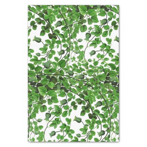 Green Ivy Vine Botanical Tissue Paper | Zazzle
