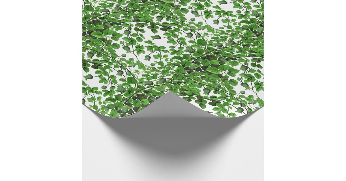 Green Ivy Vine Botanical Wrapping Paper | Zazzle