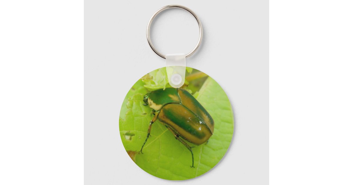 Green June Beetle Keychain | Zazzle
