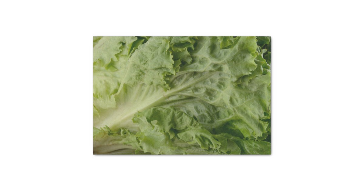 Green leaf lettuce tissue paper | Zazzle