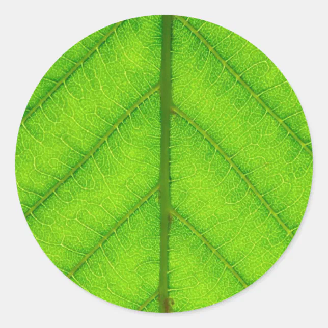 Green Leaf Stickers | Zazzle