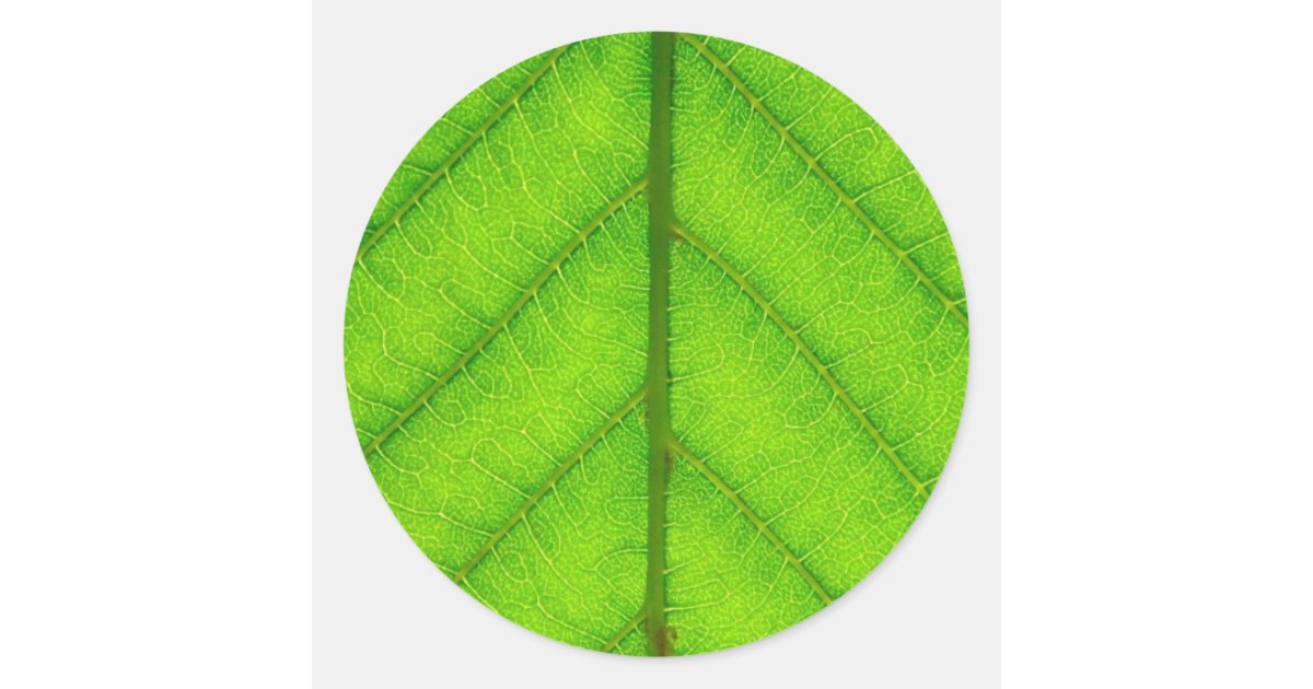 Green Leaf Stickers | Zazzle
