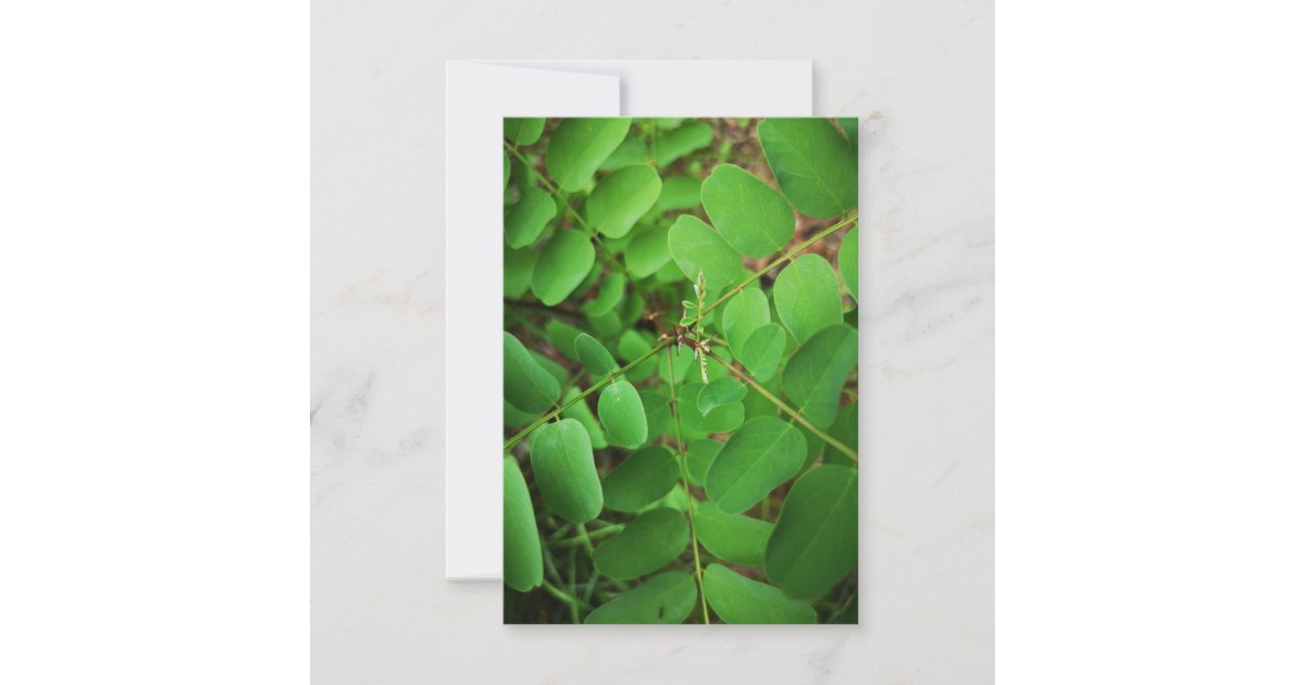 green leaves greeting card | Zazzle