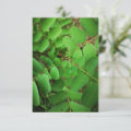 green leaves greeting card | Zazzle