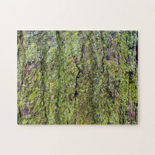 Green Lichen on Tree Bark Nature Jigsaw Puzzle | Zazzle