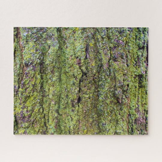 Green Lichen on Tree Bark Nature Jigsaw Puzzle | Zazzle.com