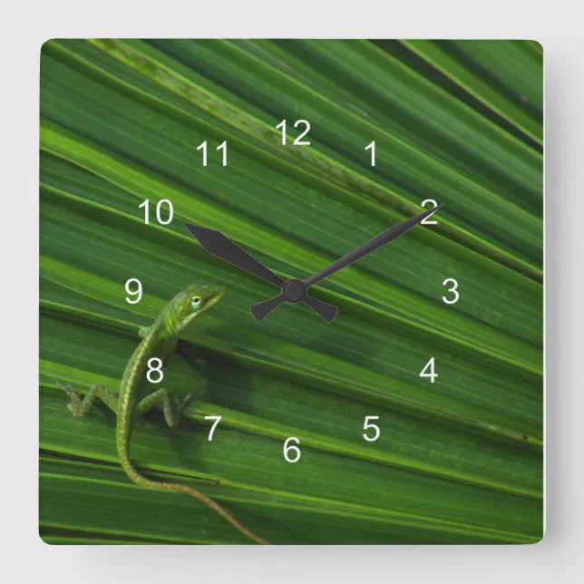 Green Lizard Clock | Zazzle