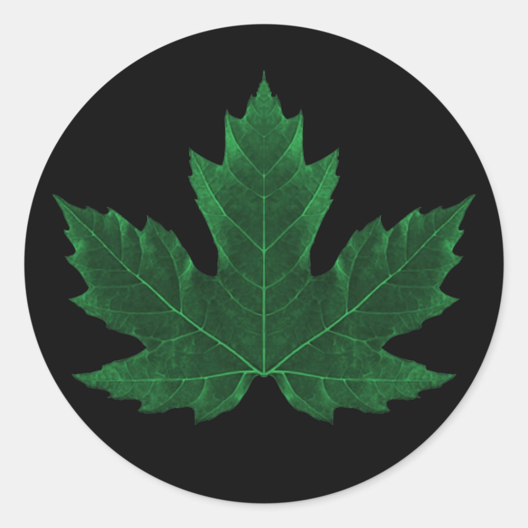Green Maple Leaf Sticker | Zazzle