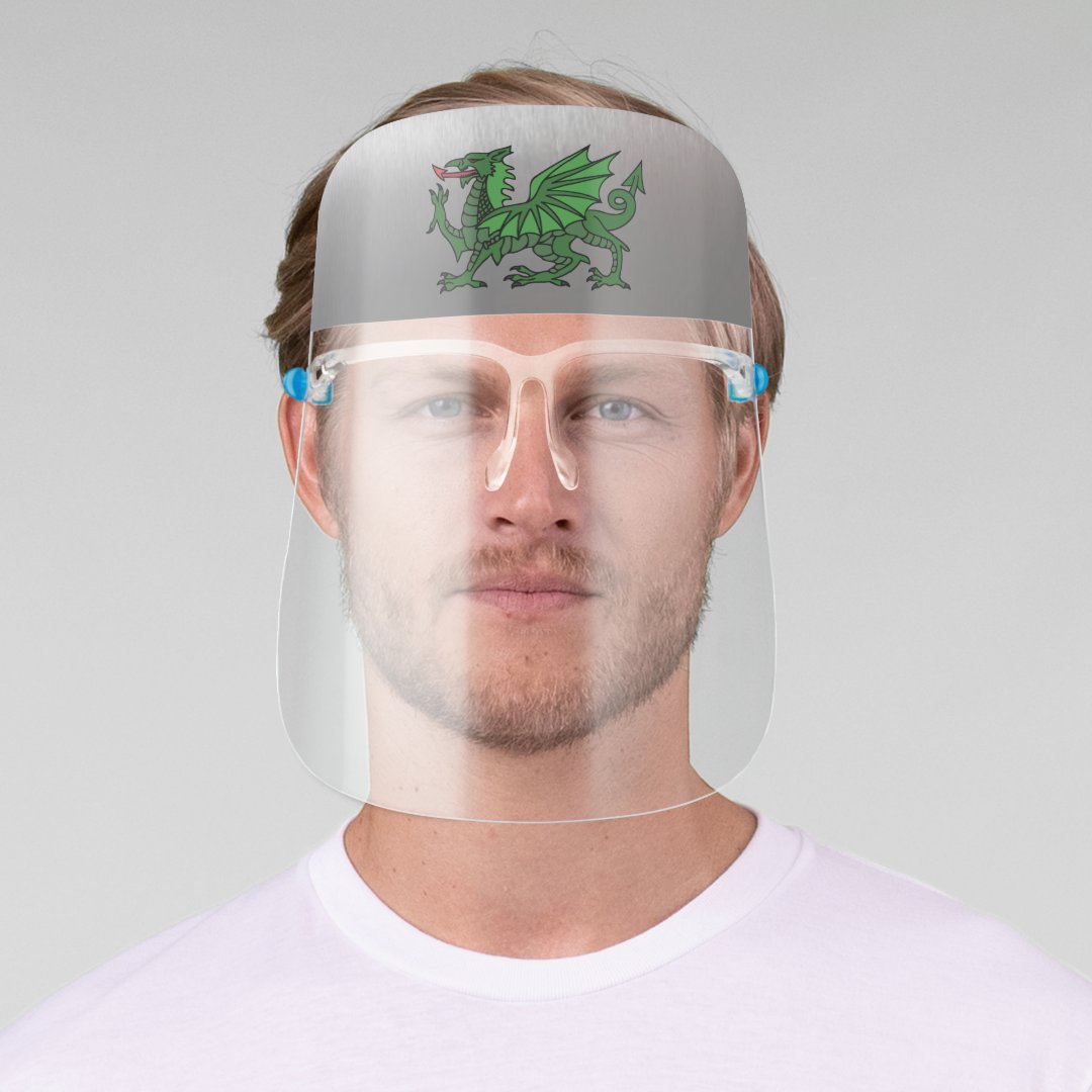 Green Medieval Fantasy Dragon Knight Face Shield | Zazzle