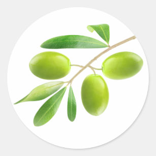 Olive Branch Stickers | Zazzle