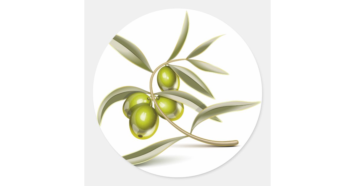 Green olives branch classic round sticker | Zazzle