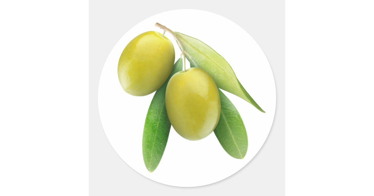 Green olives classic round sticker | Zazzle