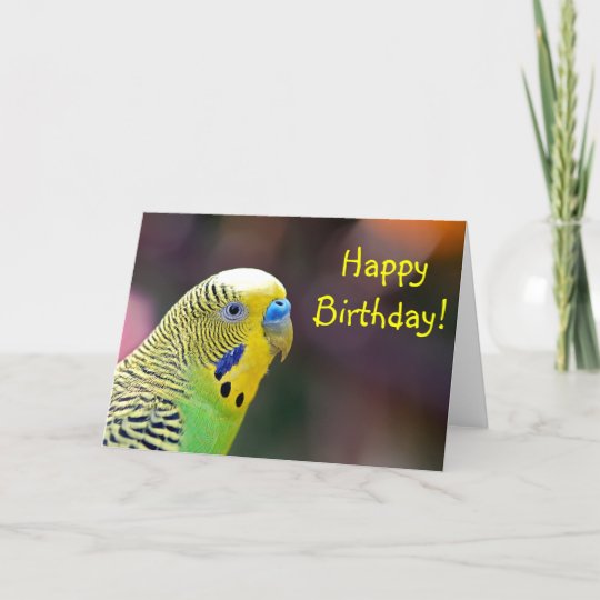 Green parakeet birthday greeting card | Zazzle.com