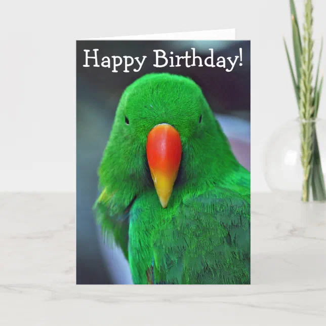 Green parrot birthday greeting card | Zazzle