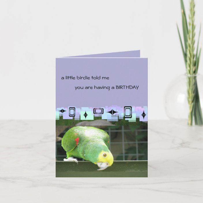 Green Parrot Birthday Greetings Card | Zazzle.com