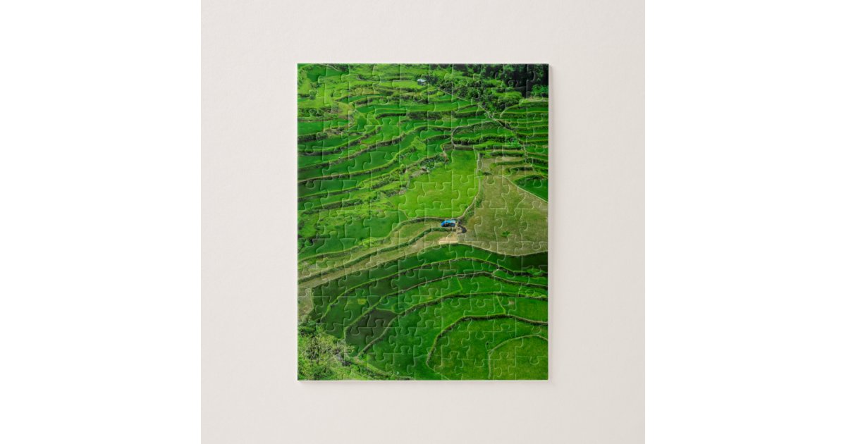 Green Rice terraces, Philippines Jigsaw Puzzle | Zazzle