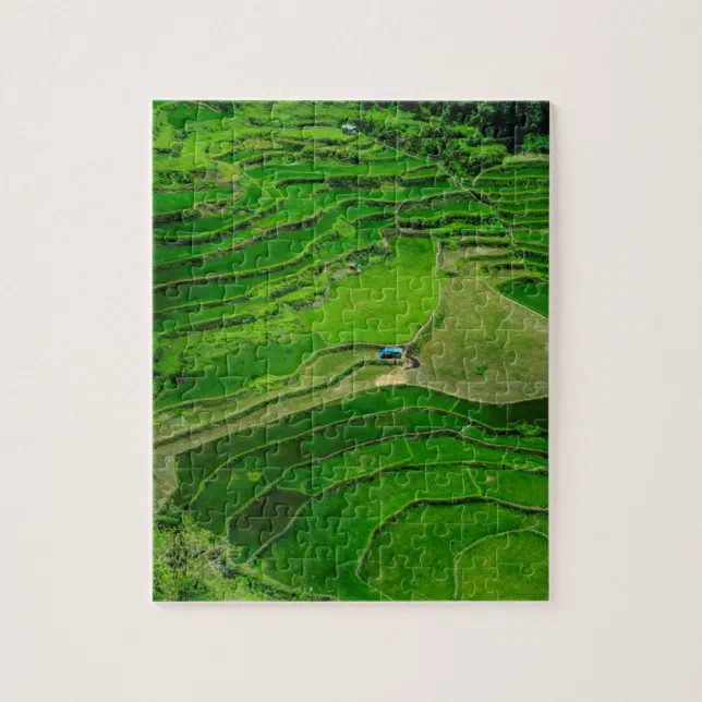 Green Rice terraces, Philippines Jigsaw Puzzle | Zazzle